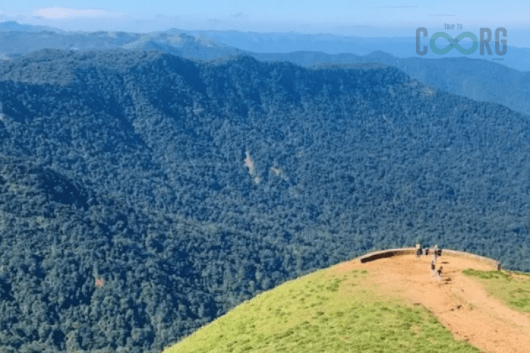Top 10 Places to Visit in Coorg: A Comprehensive Guide › Trip To Coorg
